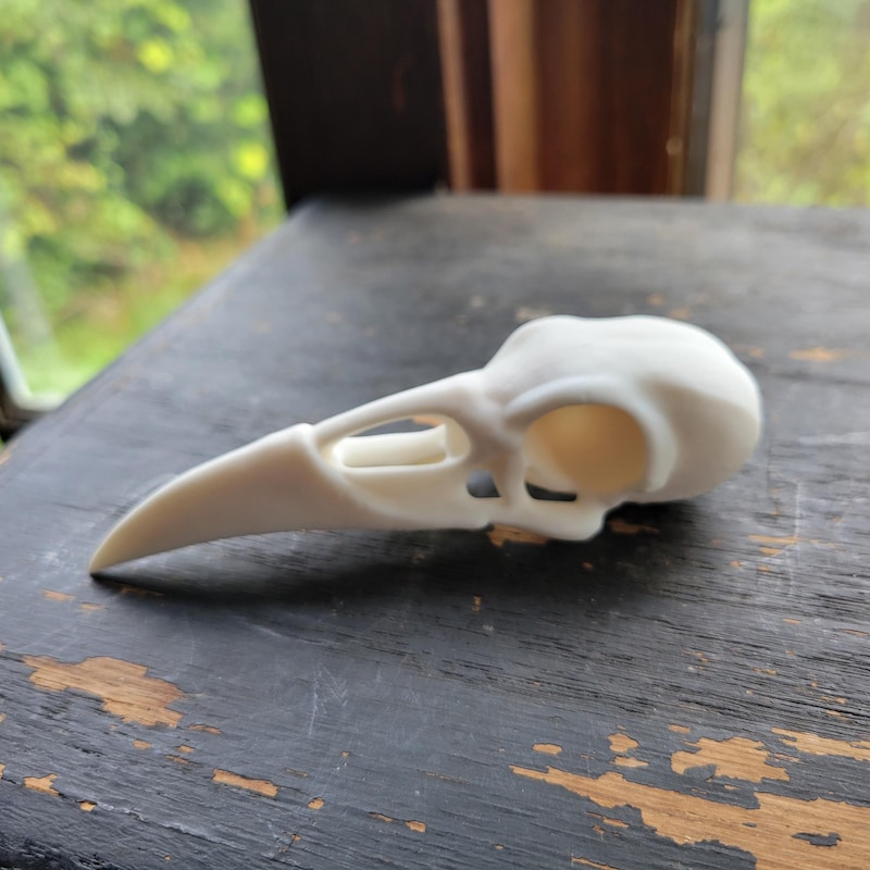 Resin Skulls Aquarium - Etsy