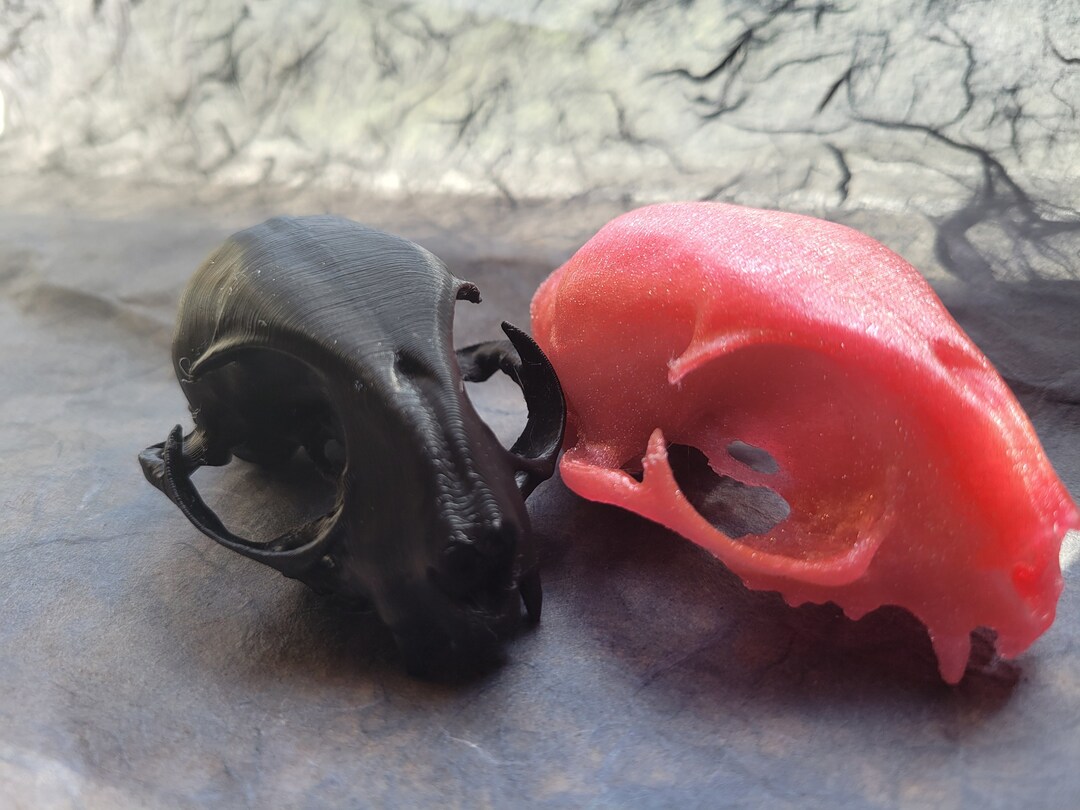 Twin Cat Skulls, Pink and Black Mini Cat Skulls, Free Shipping. Two for ...