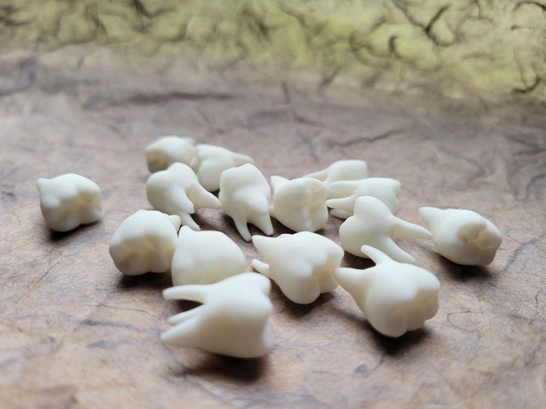 14 Human Teeth! Faux Teeth White Resin Teeth, Jewelry Supplies, Curio ...