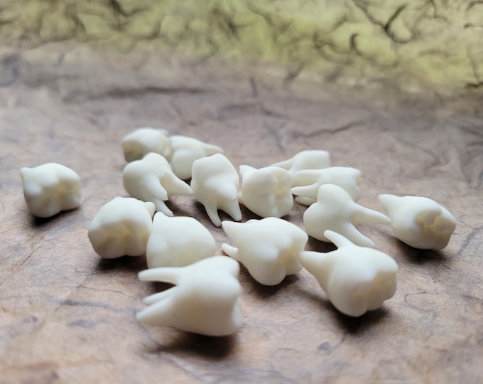 Human Teeth Beads! Horizontal Hole White Resin Teeth Beads, Jewelry ...
