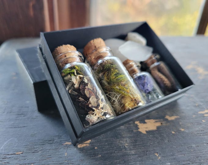 Terrarium Treasure Box! Bottled Moss, Lichen & More! Cottagecore ...