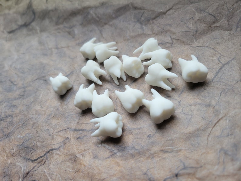 14 Human Teeth! Faux Teeth White Resin Teeth, Jewelry Supplies, Curio ...