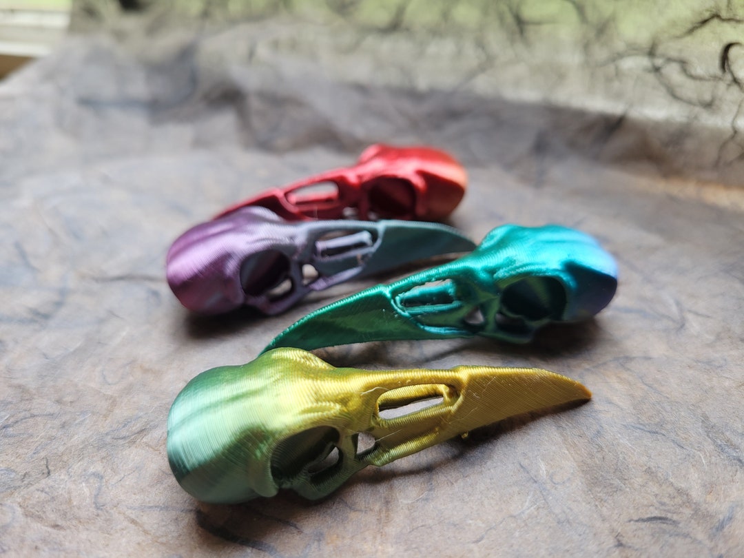 Rainbow Raven Skulls Collectible Rainbow Skulls Comes W/ Box Crow ...