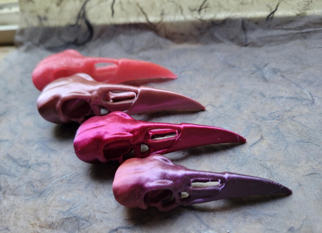 All Pink Bird Skulls! Qty 4, Pink Raven Skull, Crow Skulls, Crowcore ...