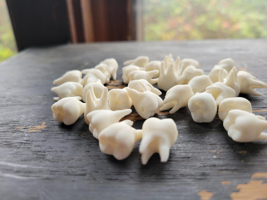 25 B-grade Resin Teeth: Human Molar Bead Mix, Jewelry Supplies - Etsy