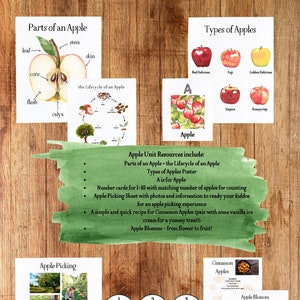 Apple Unit Study - Etsy
