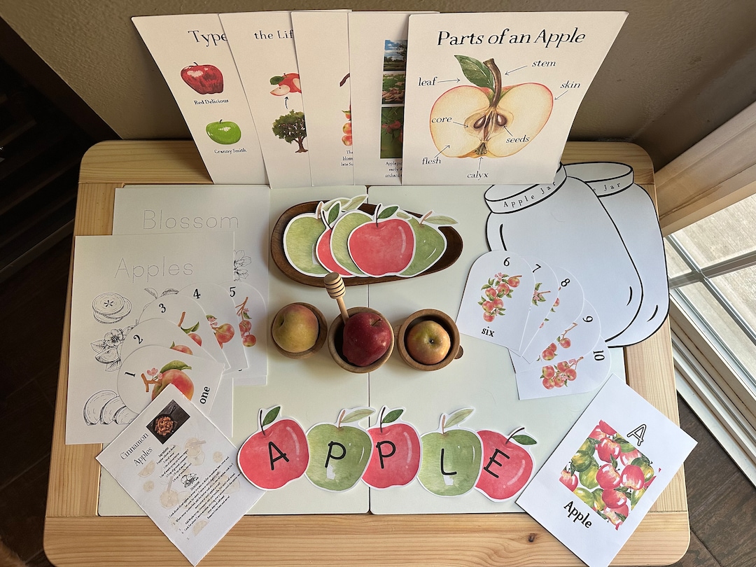 Apple Unit Study - Etsy