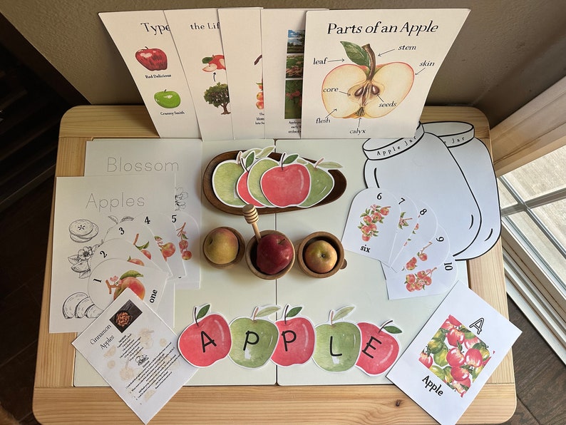 Apple Unit Study - Etsy