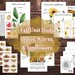 Autumn Unit Study - Leaves, Acorns, & Sunflowers - Etsy