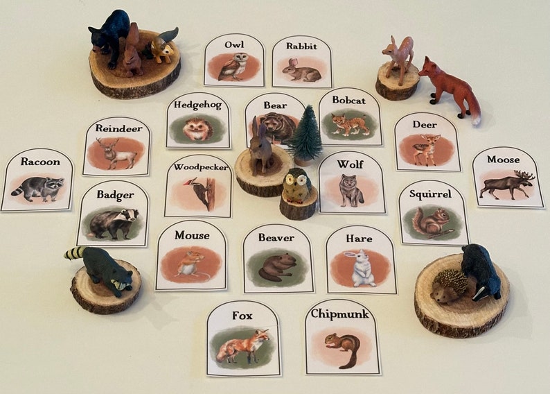 Forest Animal Cards - Etsy