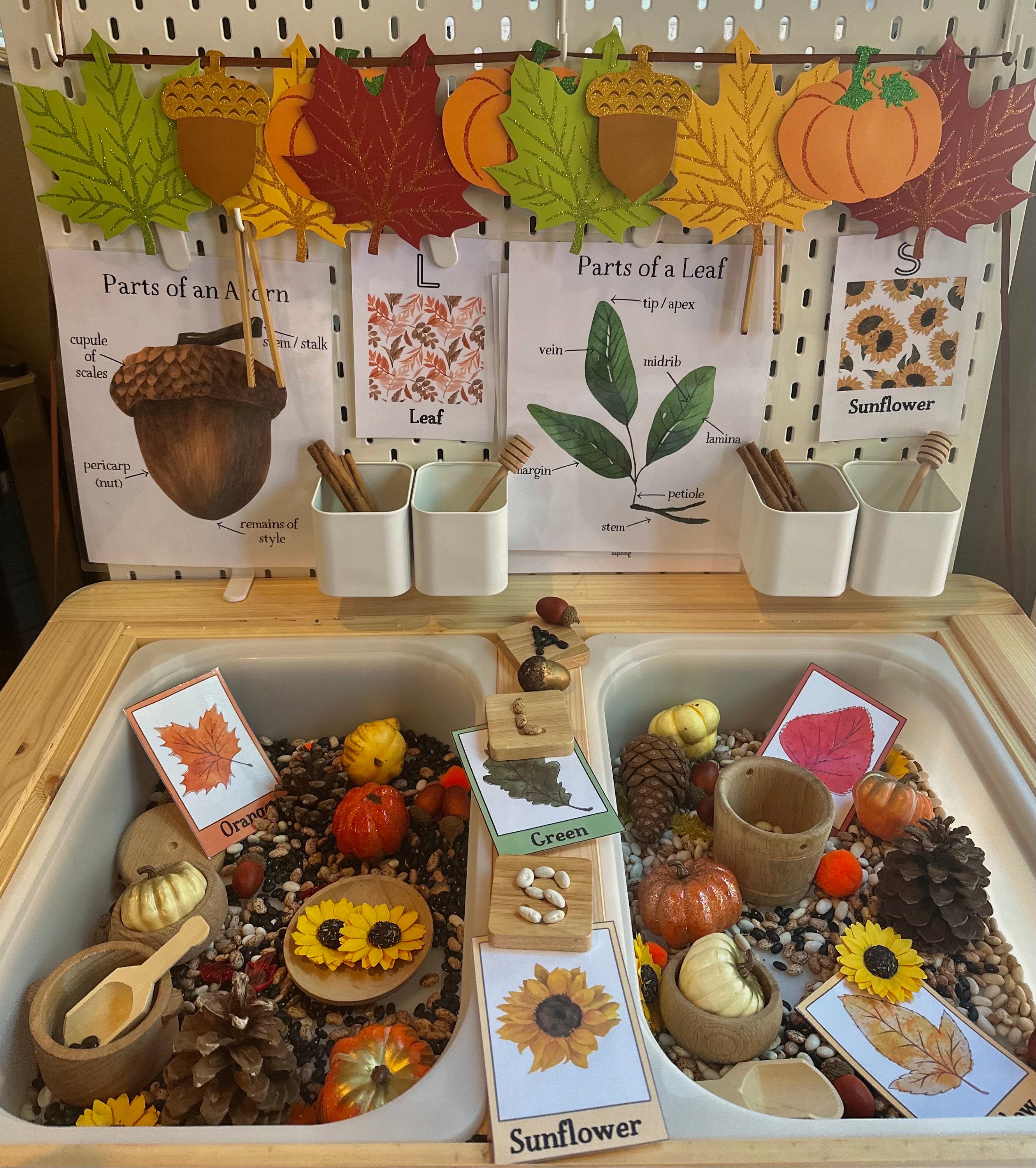 Autumn Unit Study Leaves, Acorns, & Sunflowers - Etsy