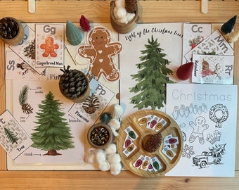 Homeschool Christmas Unit Study Family Style Learning Christmas Holiday ...