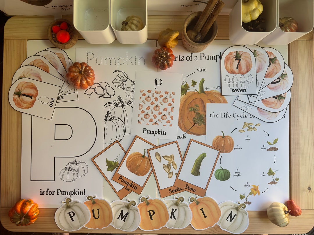 Pumpkin Unit Study - Etsy