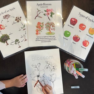 Apple Unit Study - Etsy