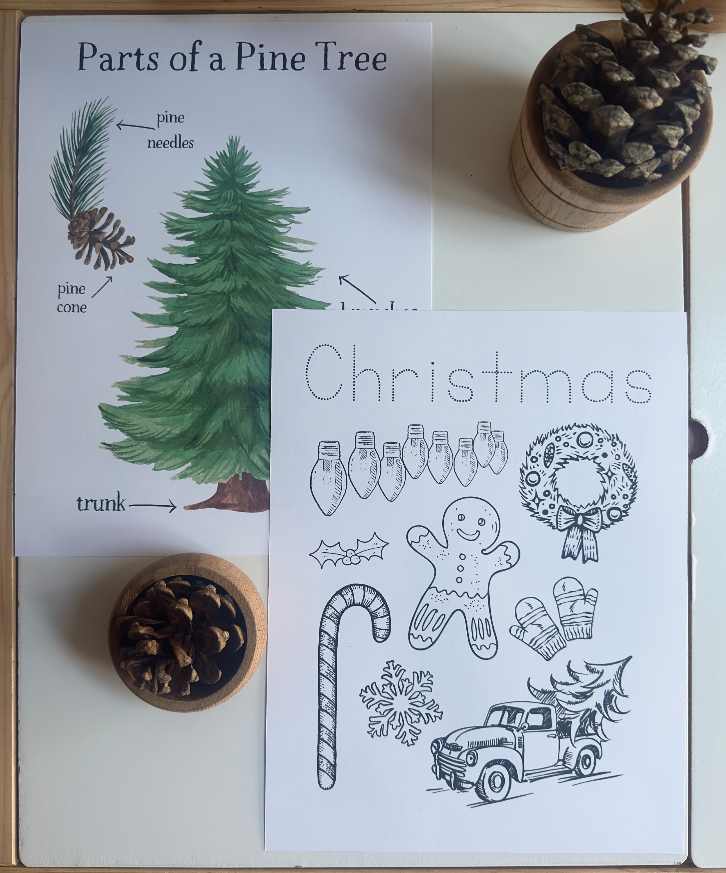 Christmas Unit Study - Etsy