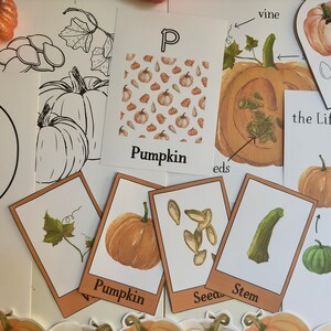 Pumpkin Unit Study - Etsy