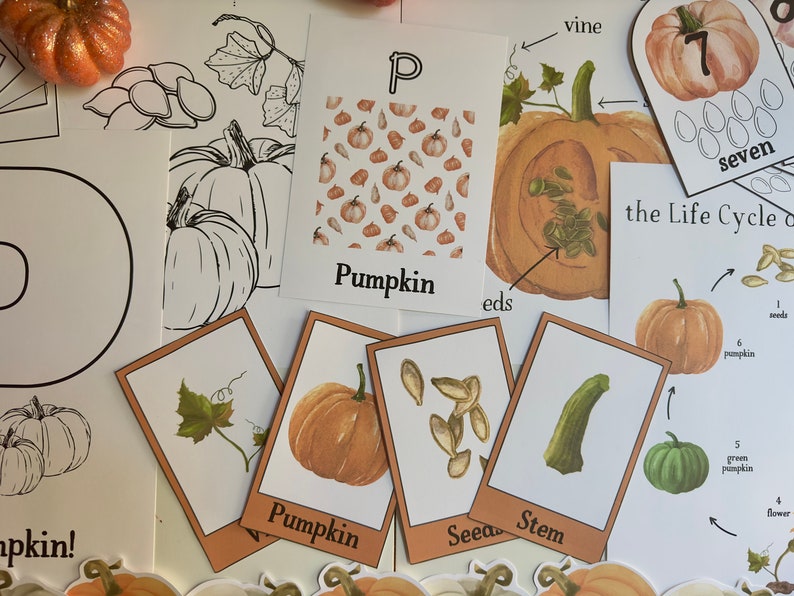 Pumpkin Unit Study - Etsy