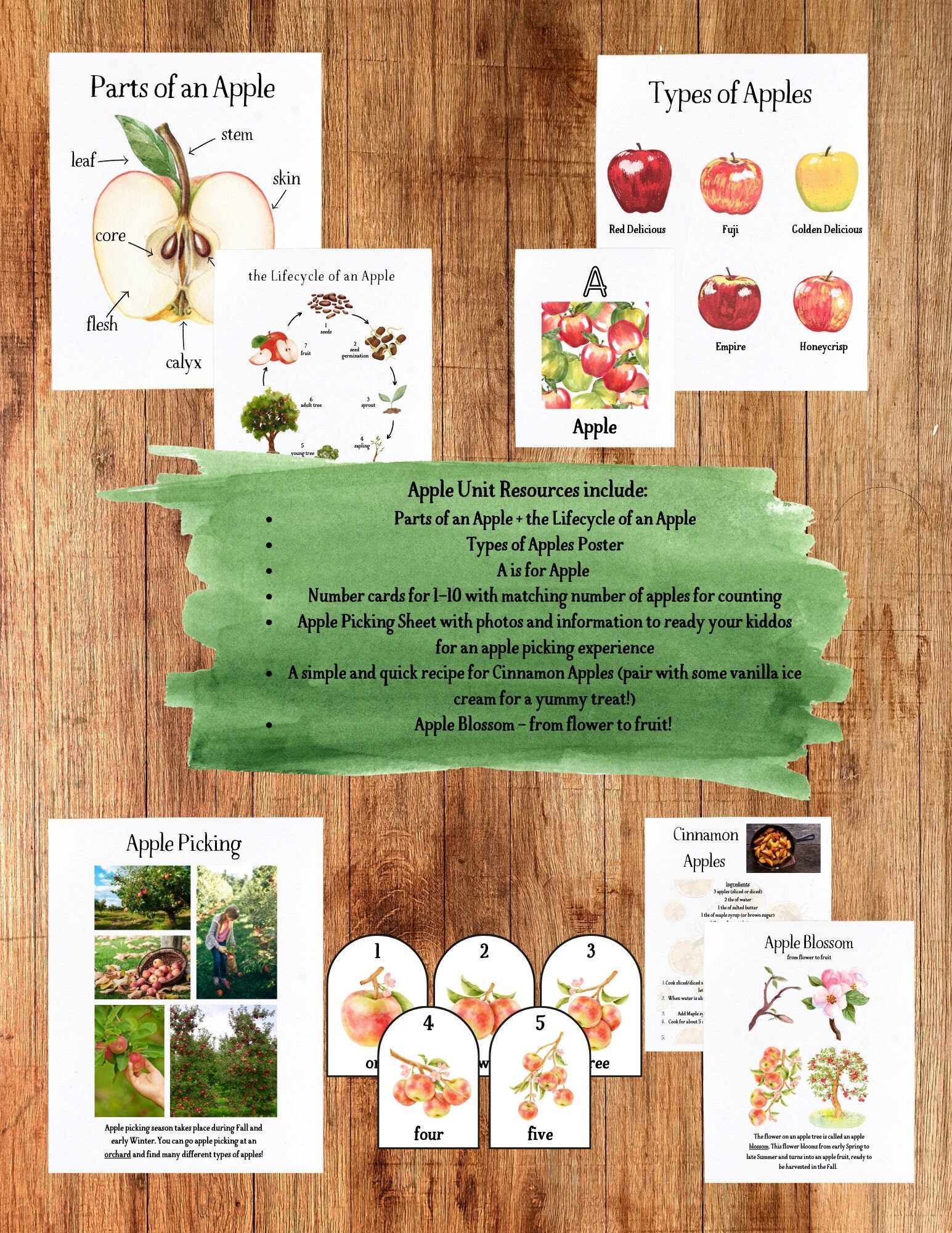 Apple Unit Study - Etsy