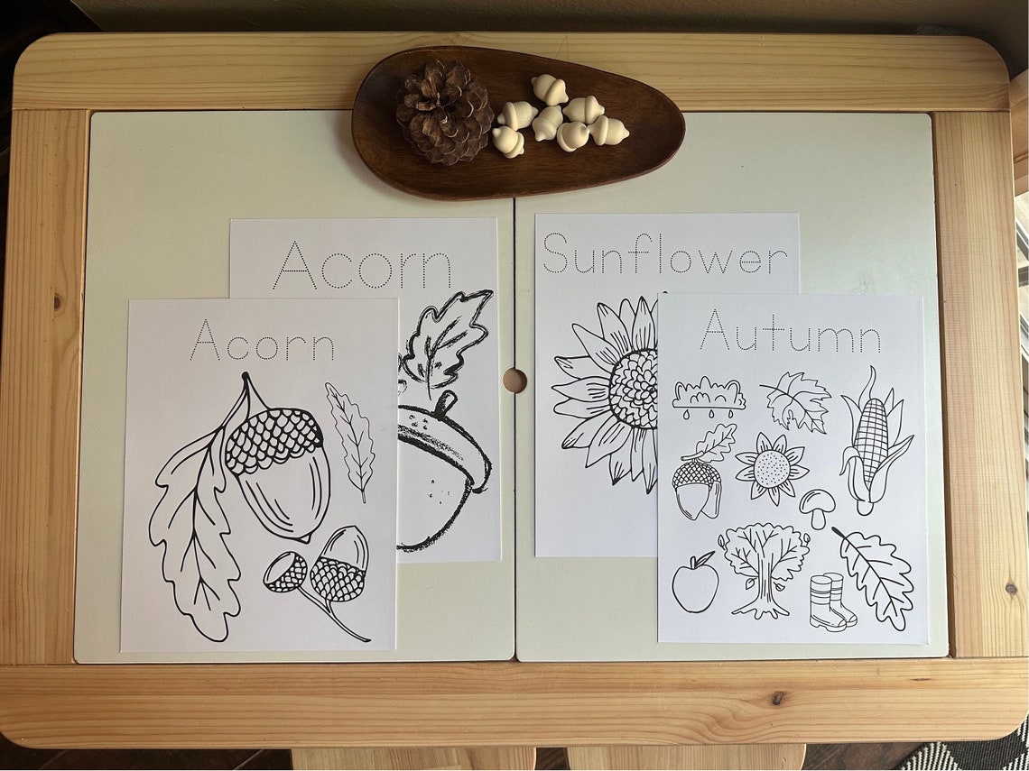 Autumn Unit Study - Leaves, Acorns, & Sunflowers - Etsy
