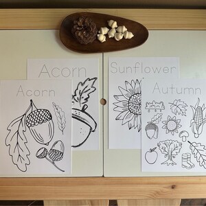 Autumn Unit Study Leaves Acorns & Sunflowers - Etsy