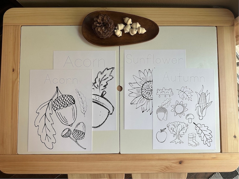 Autumn Unit Study Leaves Acorns & Sunflowers - Etsy
