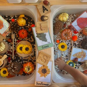 Autumn Unit Study - Leaves, Acorns, & Sunflowers - Etsy