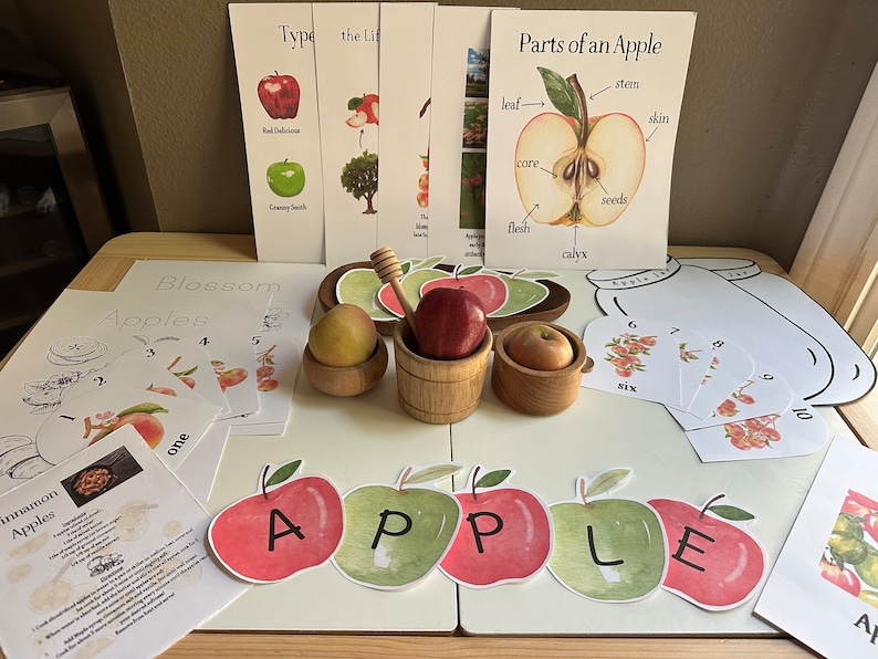 Apple Unit Study - Etsy