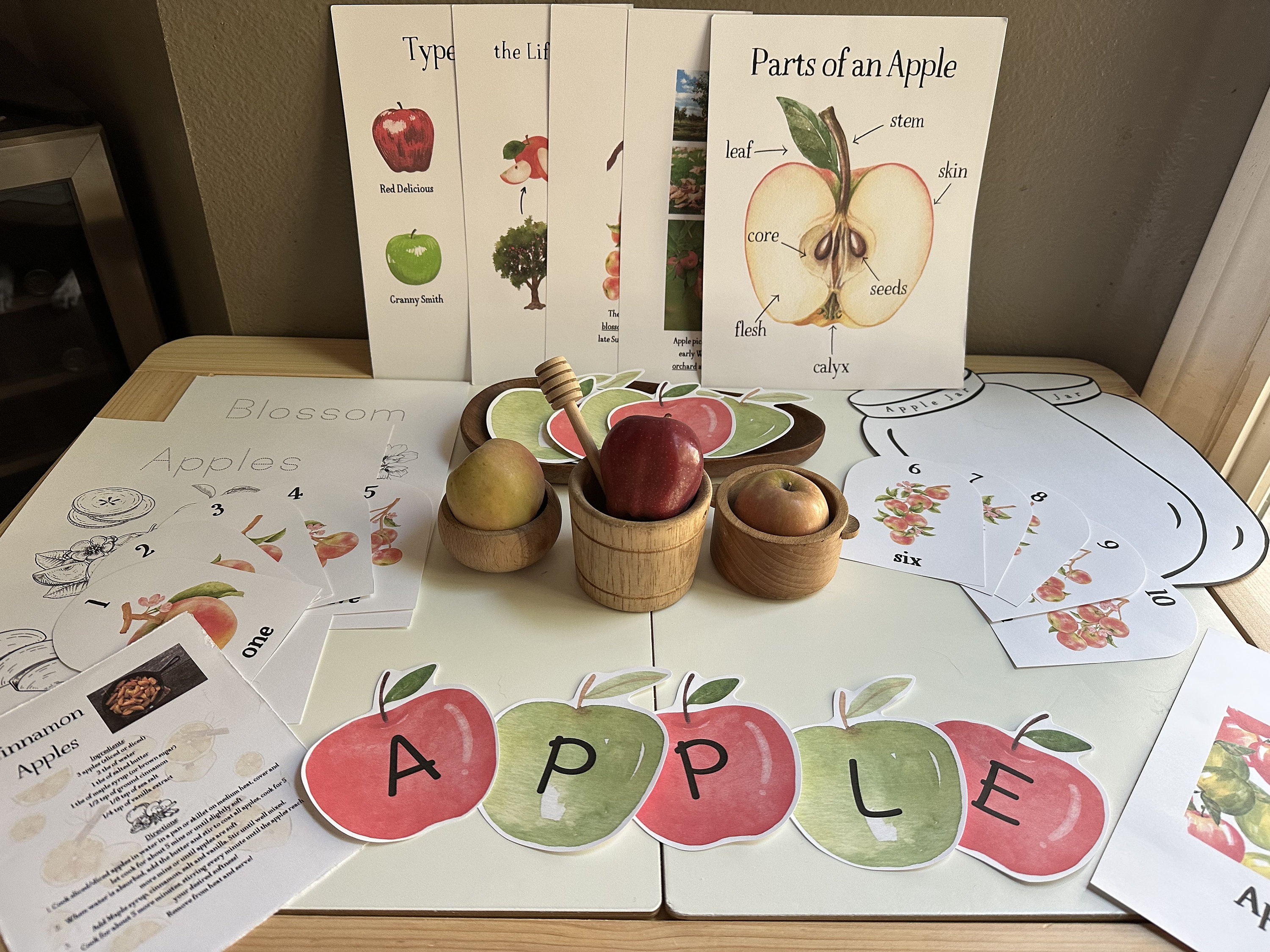 Apple Unit Study - Etsy