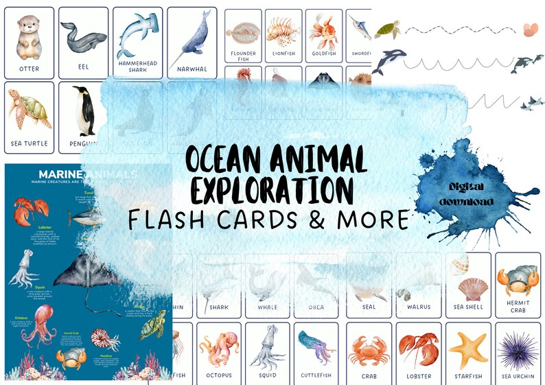 Printable Ocean Animals Flash Cards - Etsy
