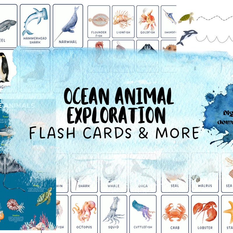 Animal Flash Cards - Etsy