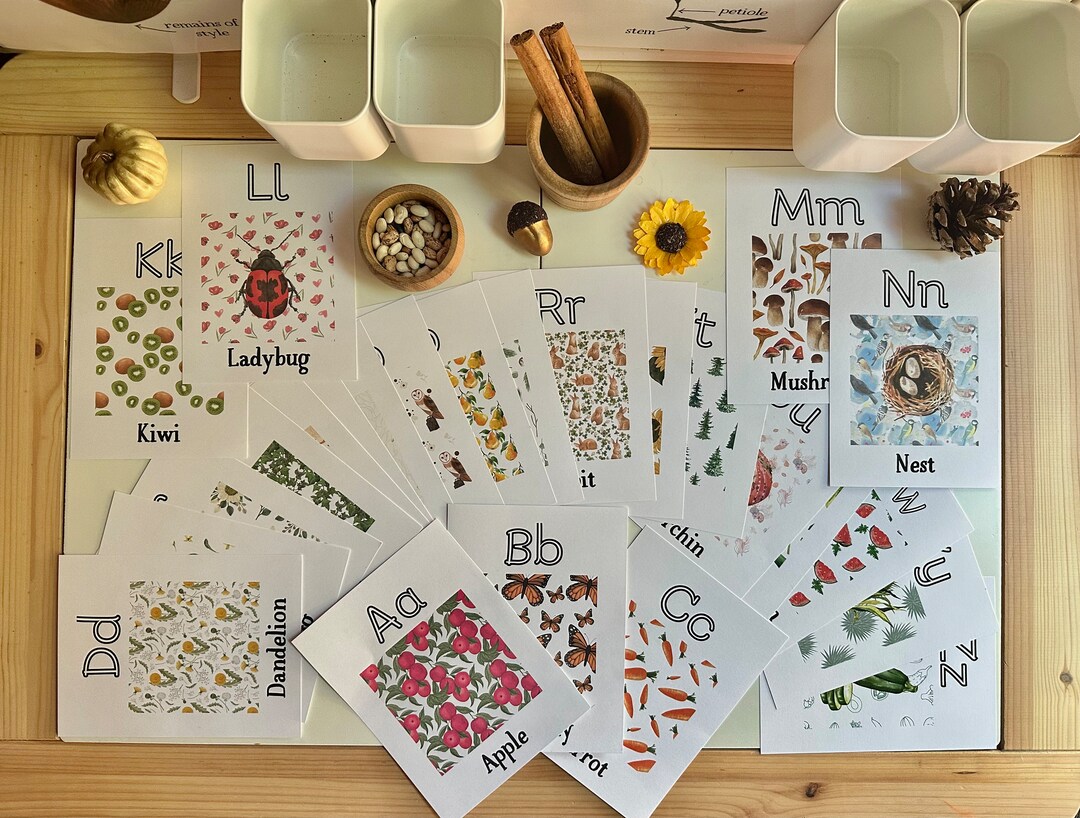 Nature Alphabet Cards - Etsy