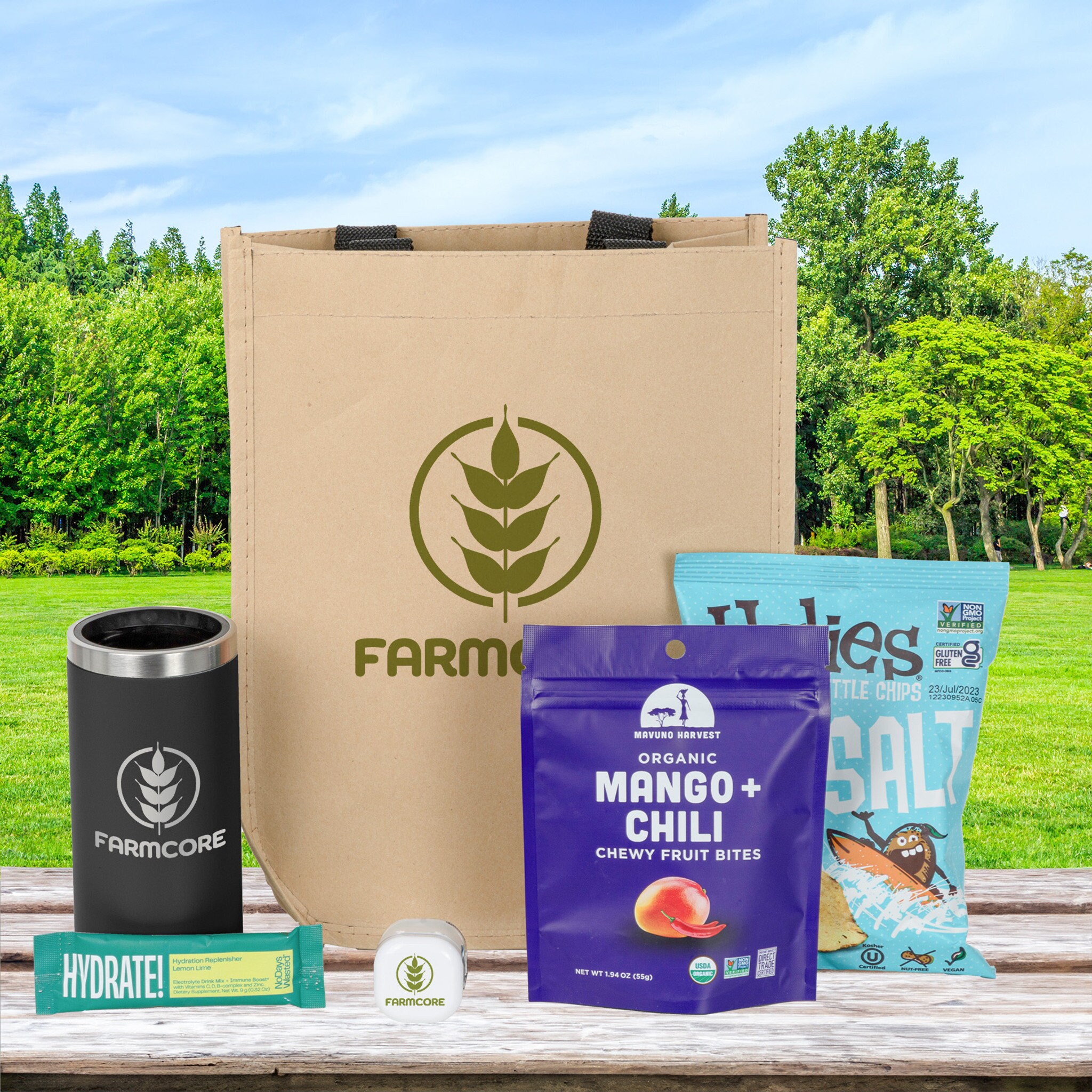 Field Day Outdoor Event Kit - Sunshine Swag Spectacular: Custom Gear ...