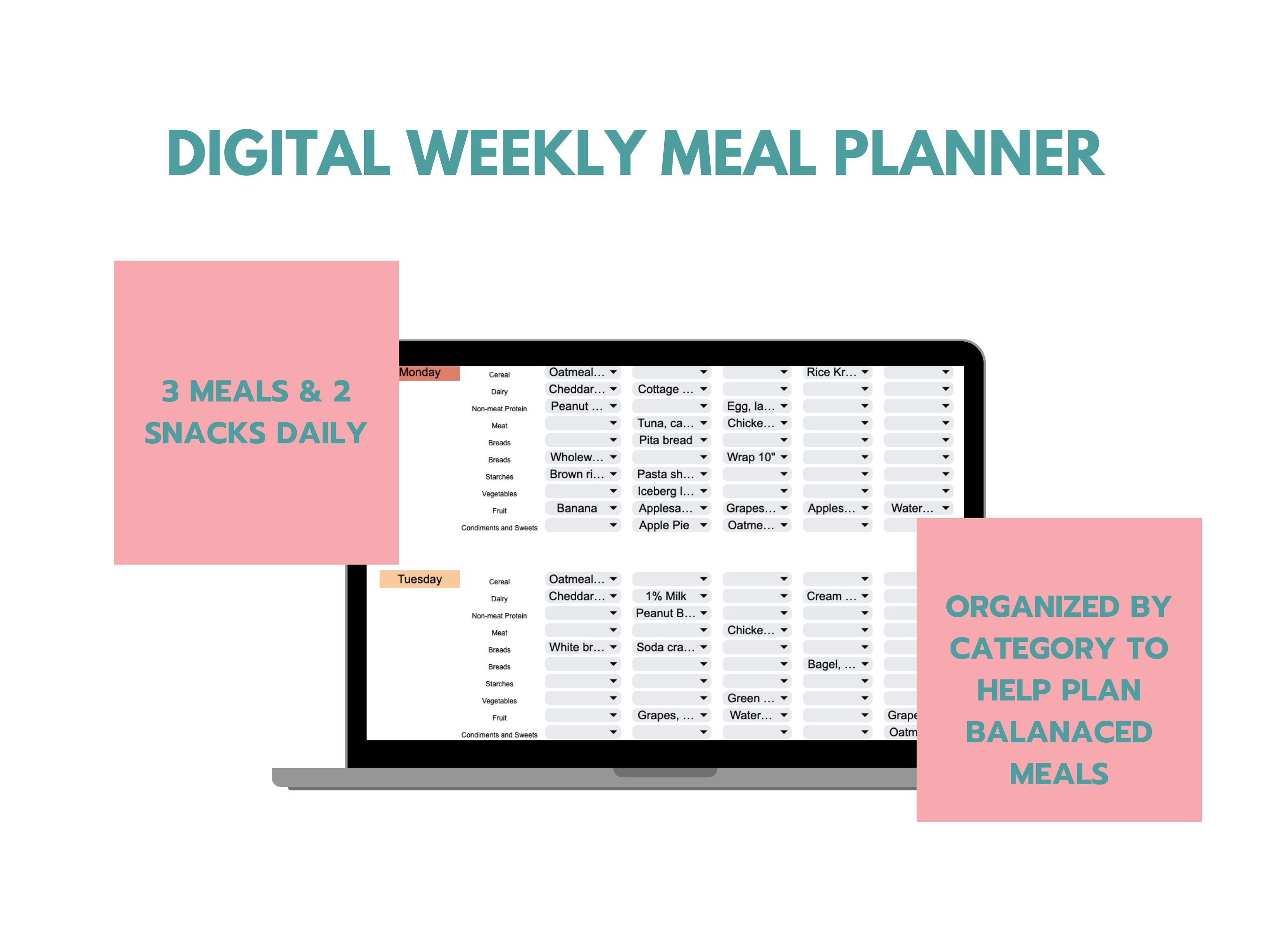 Kidney Care Spreadsheet | Dialysis Diet Planner | Nutrition Tracker ...