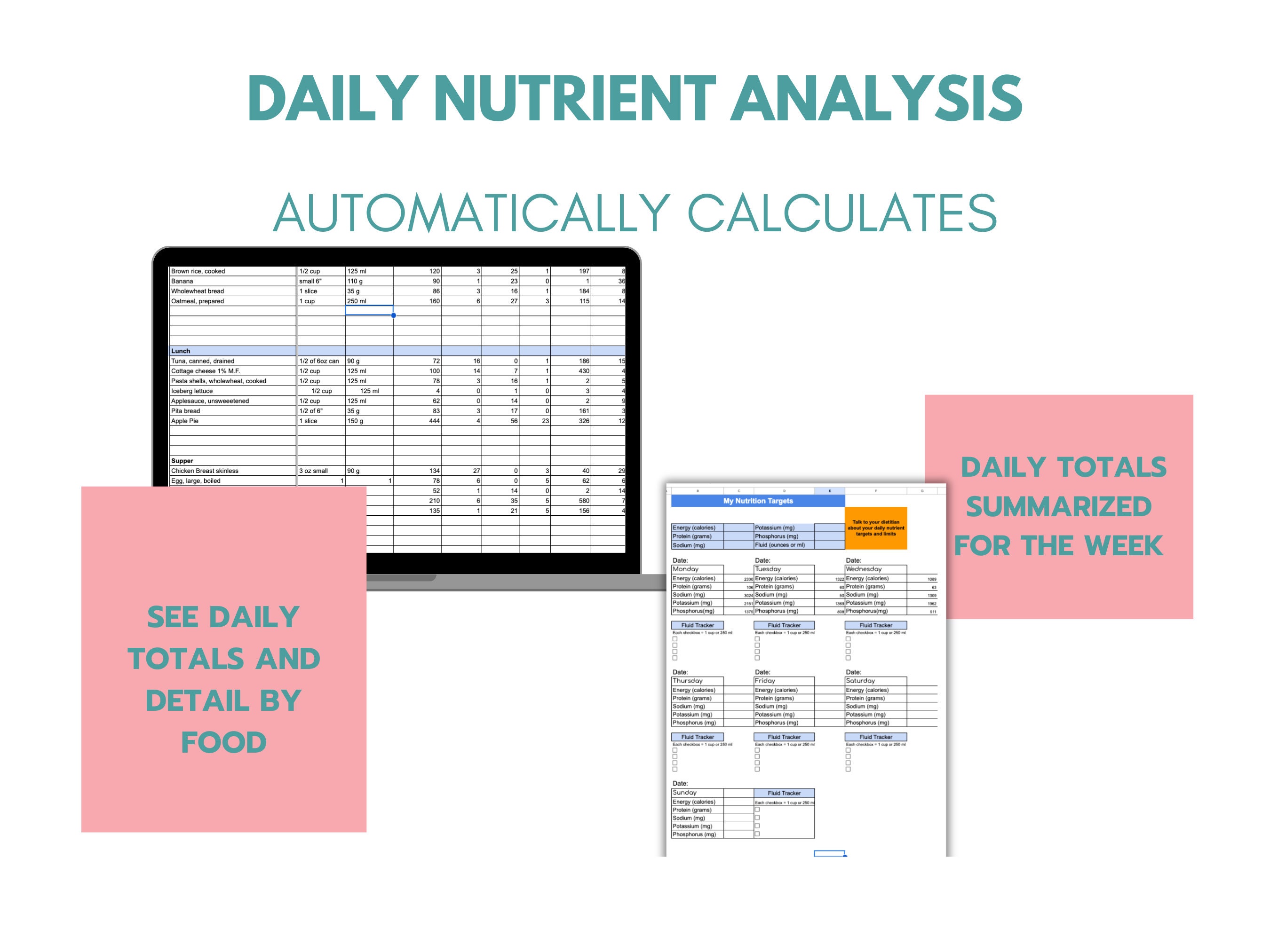 Kidney Care Spreadsheet | Dialysis Diet Planner | Nutrition Tracker ...