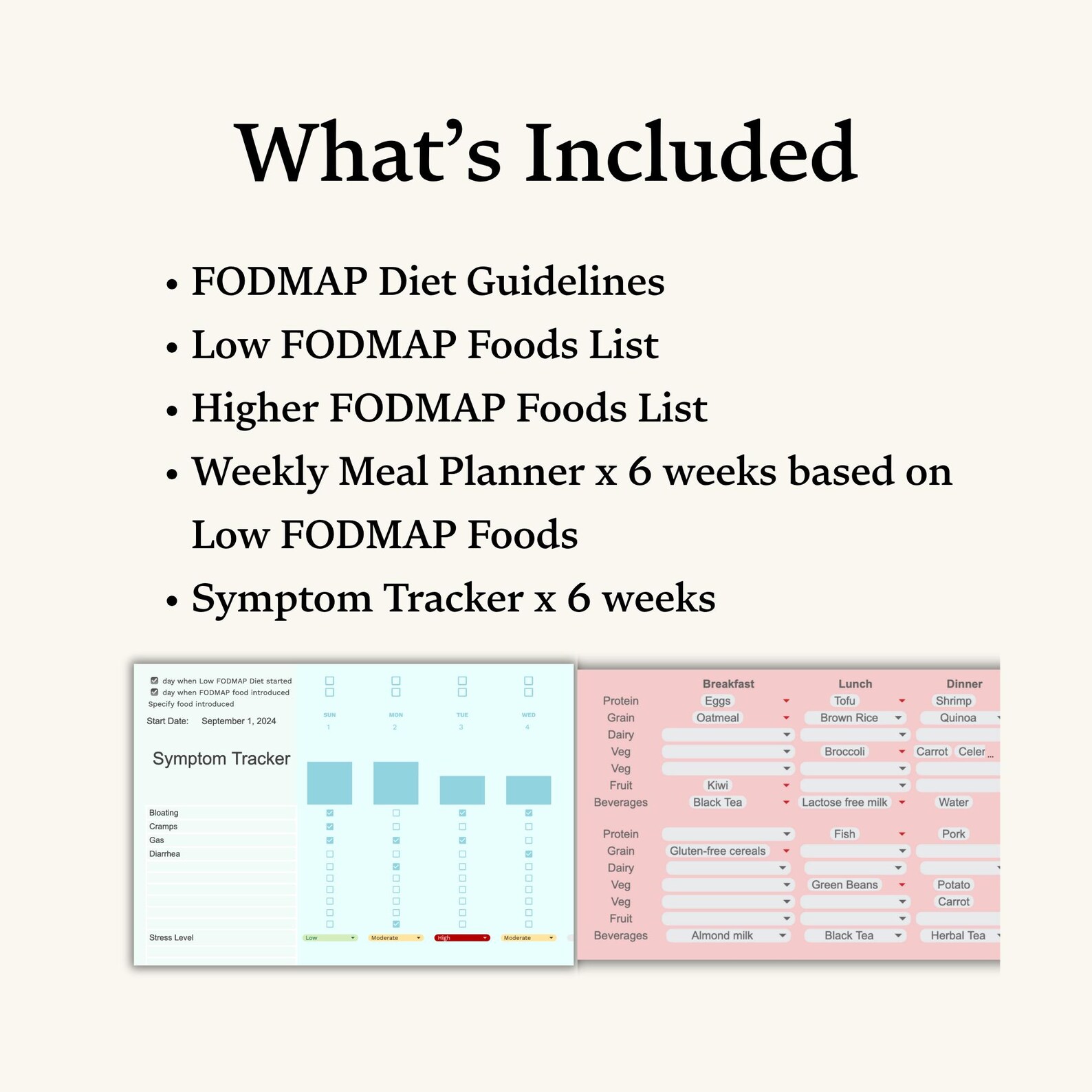 Low FODMAP Diet Planner & Symptom Tracker: IBS Food Journal (google ...