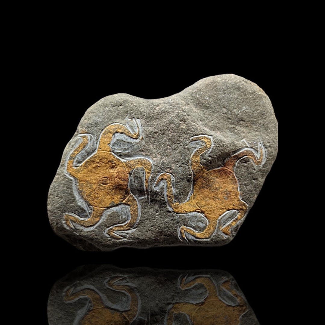 4 Fossilized Brittle Star repaired - Etsy