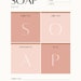 SOAP Note Templates in 4 Colors - Etsy