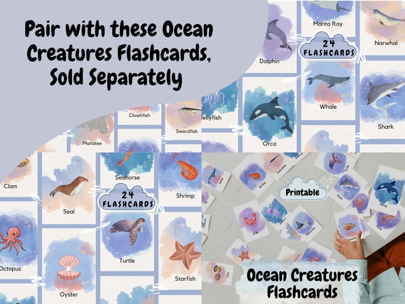 Kids Activities I Spy Search and Find by Picture, Summer Beach and ...