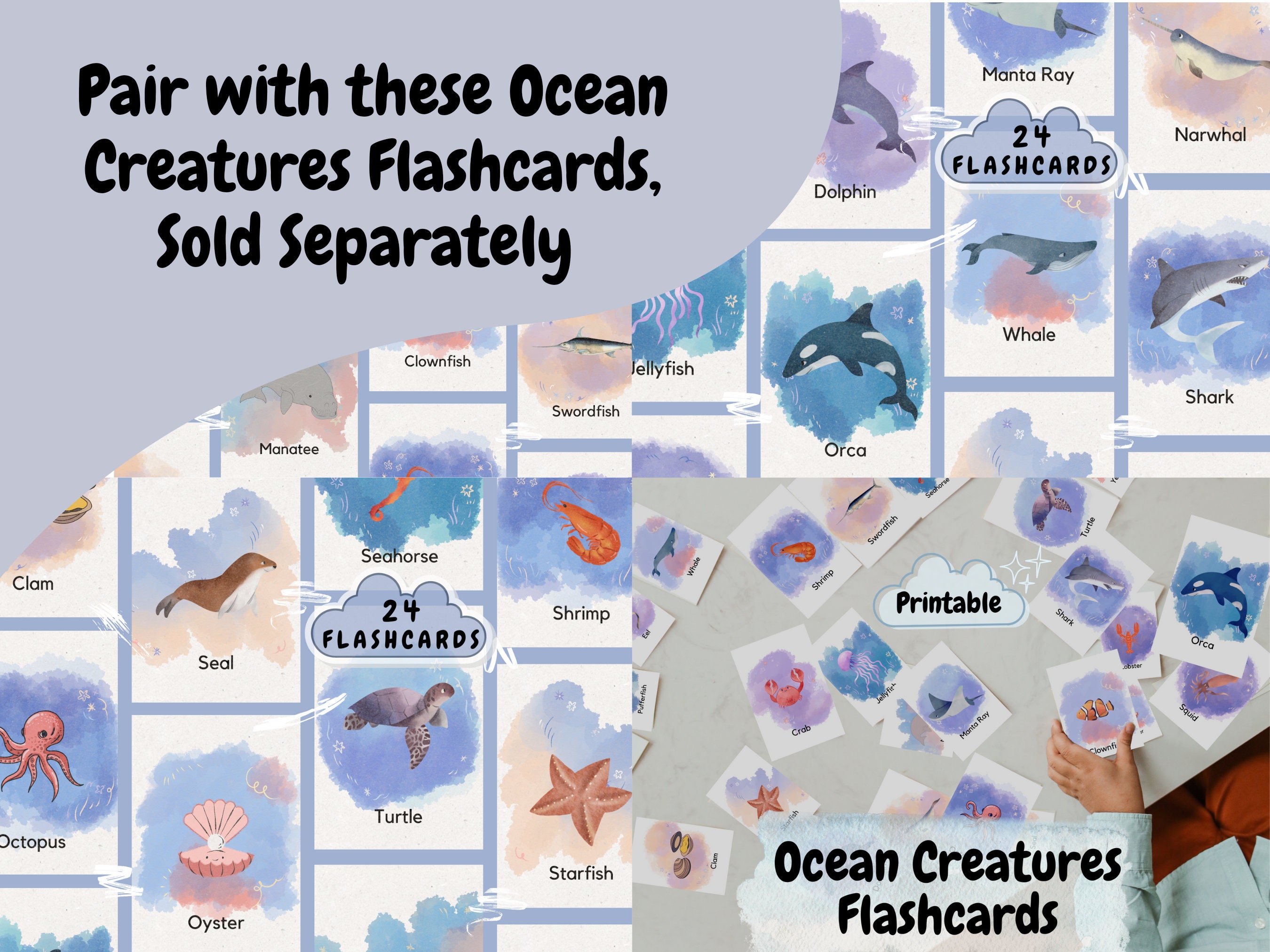 Kids Activities I Spy Search and Find by Picture, Summer Beach and ...