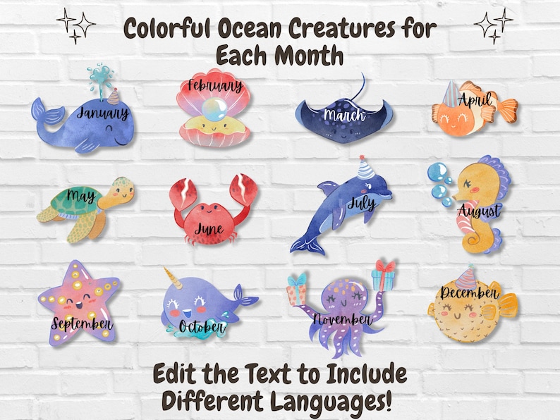 Editable Ocean Classroom Birthday, Birthday Board Display, Kids ...
