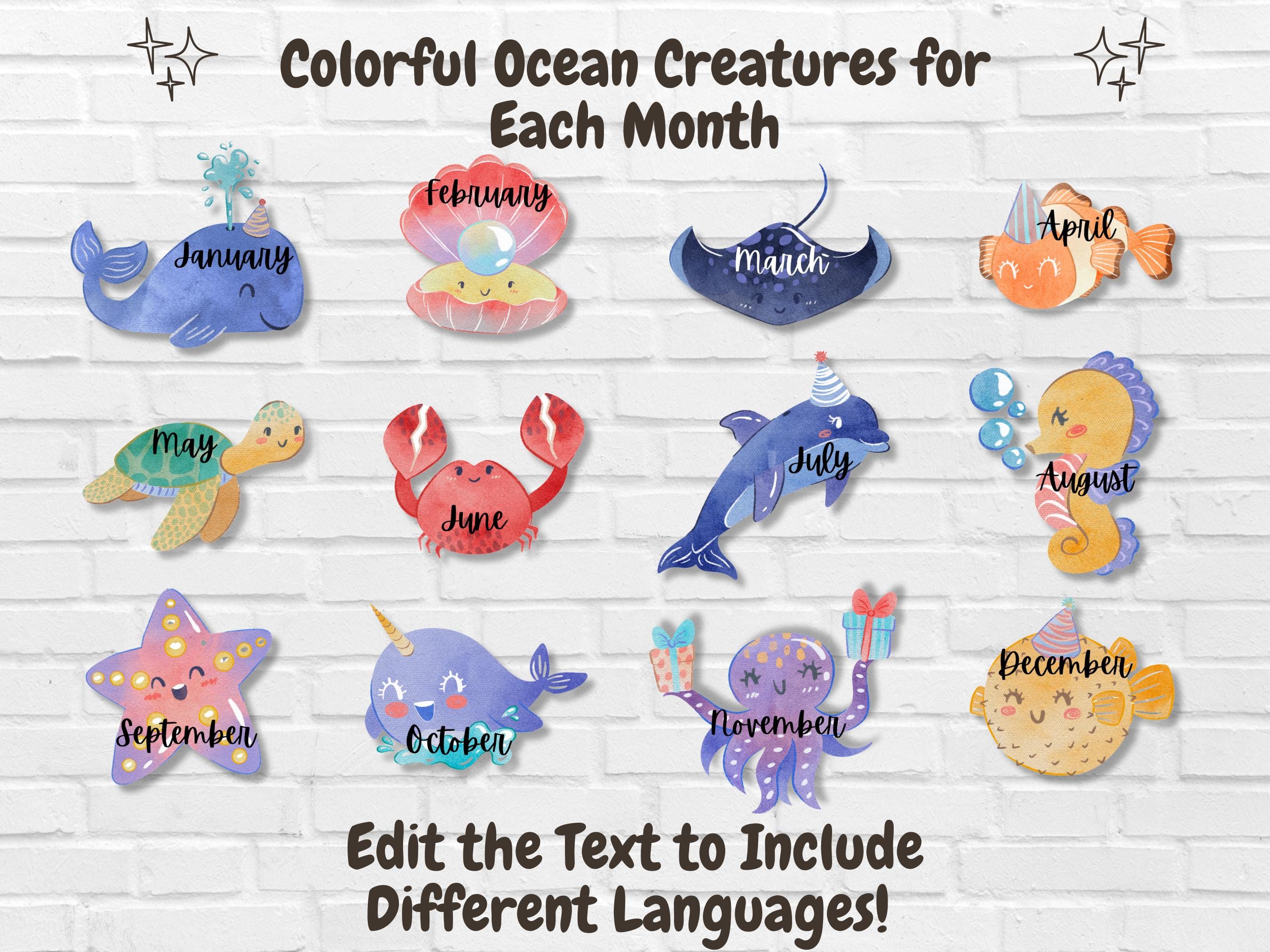 Editable Ocean Classroom Birthday, Birthday Board Display, Kids ...