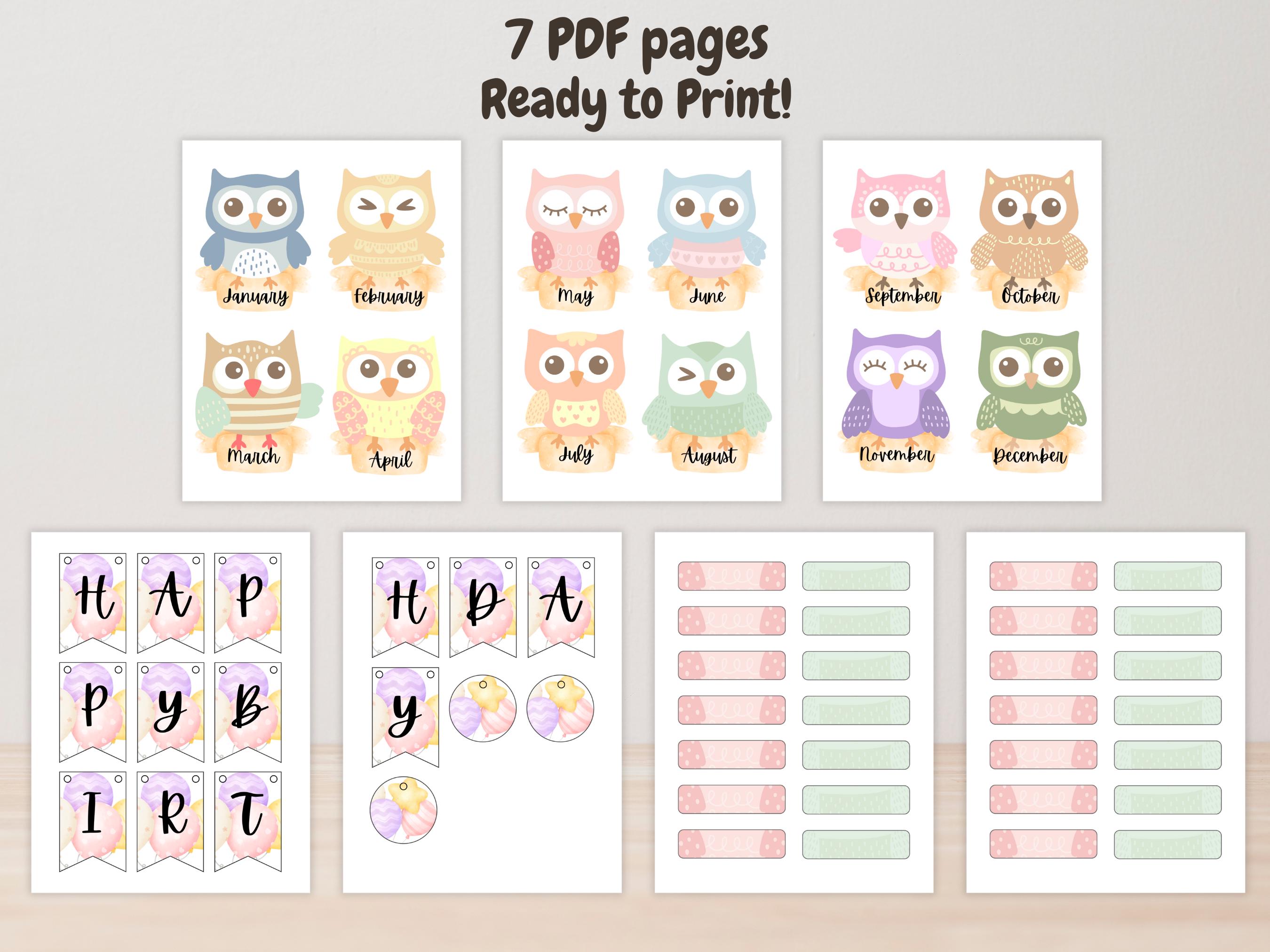 Boho Owl Classroom Birthday, Classroom Birthday Display, Pastel ...