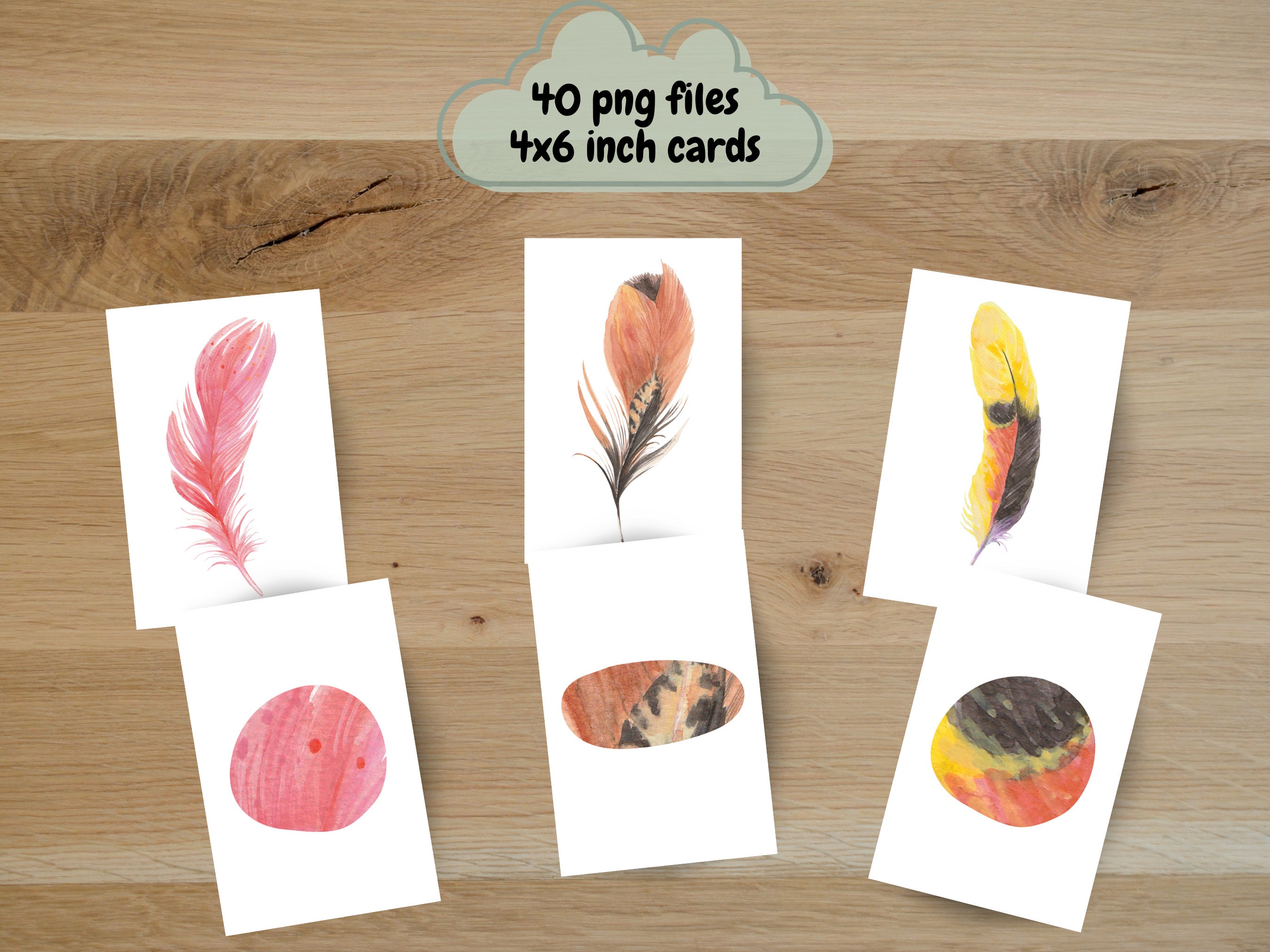 Feather Matching Cards, Toddler Pattern Matching, Montessori Learning ...