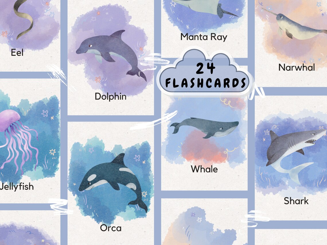 24 Ocean Creatures Flashcards, Toddler Flash Cards Preschool ...