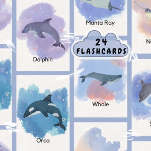 24 Ocean Creatures Flashcards, Toddler Flash Cards Preschool ...