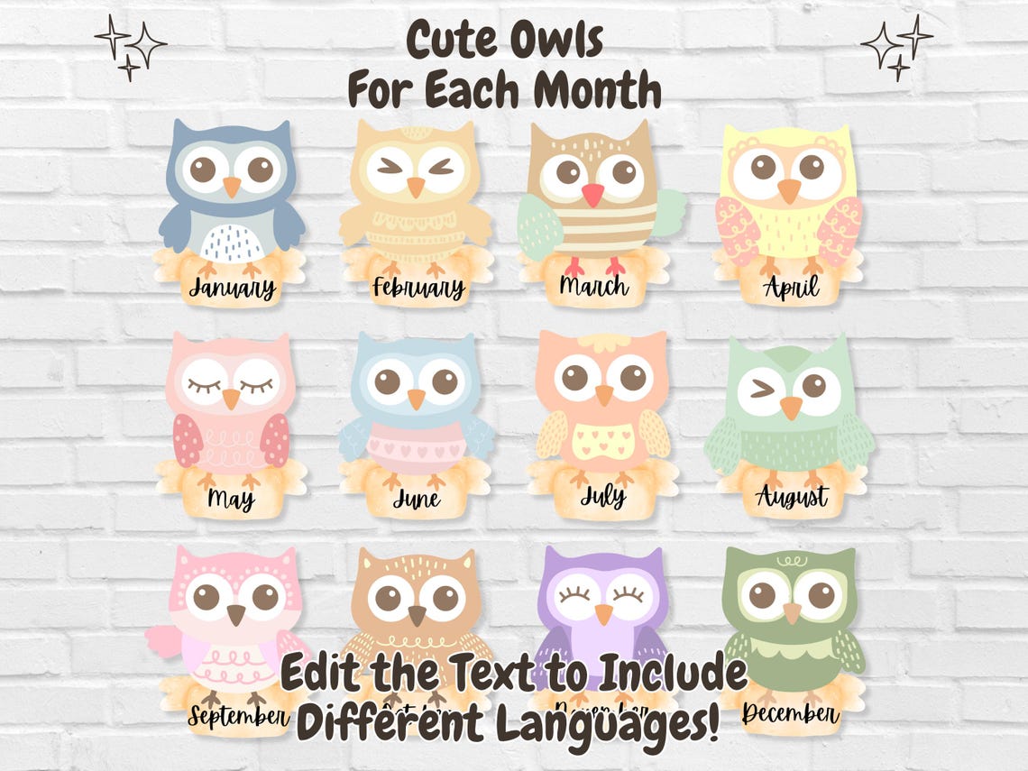 Editable Boho Owl Classroom Birthday Board, Pastel Classroom Birthday ...