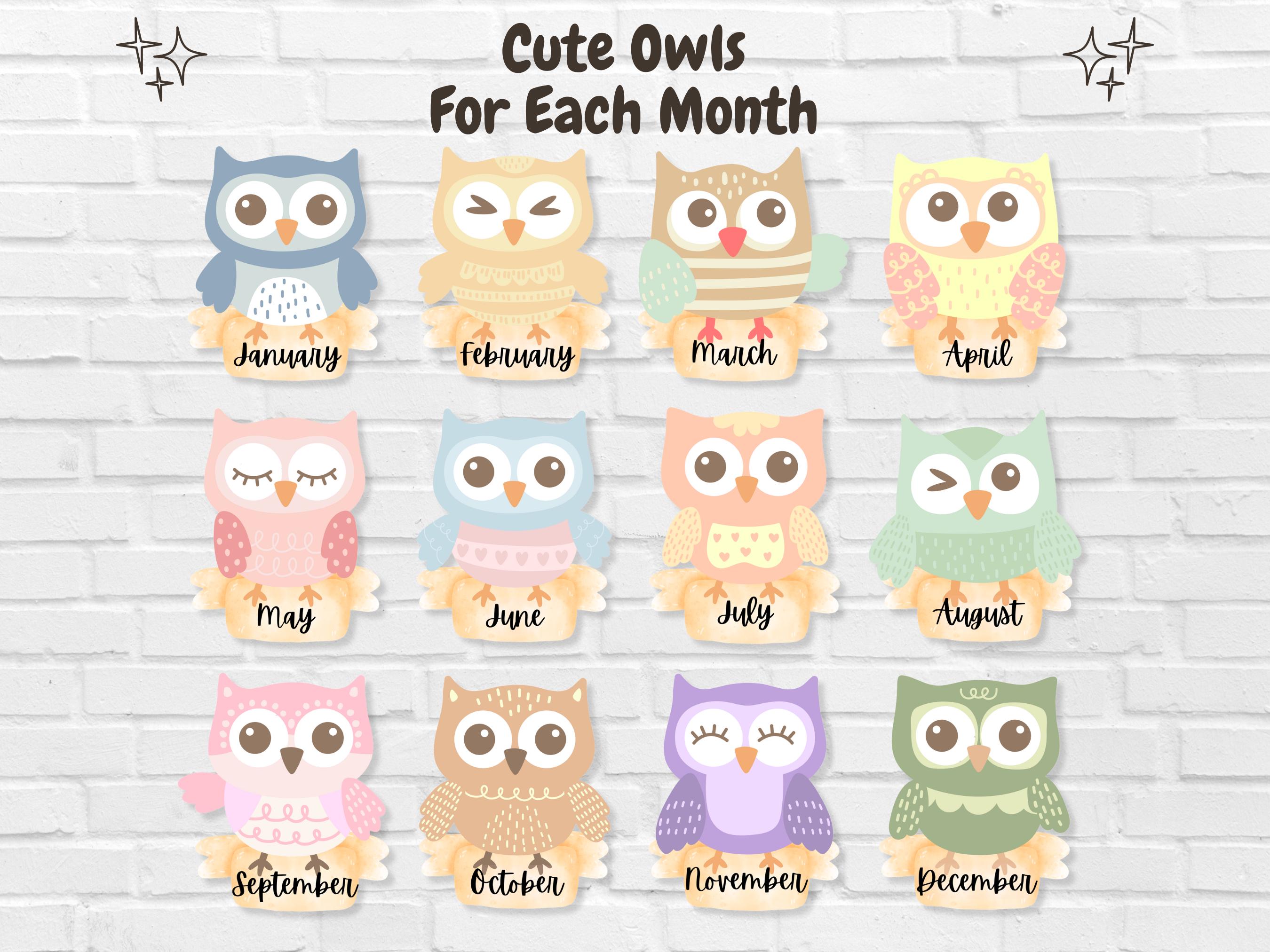 Boho Owl Classroom Birthday, Classroom Birthday Display, Pastel ...