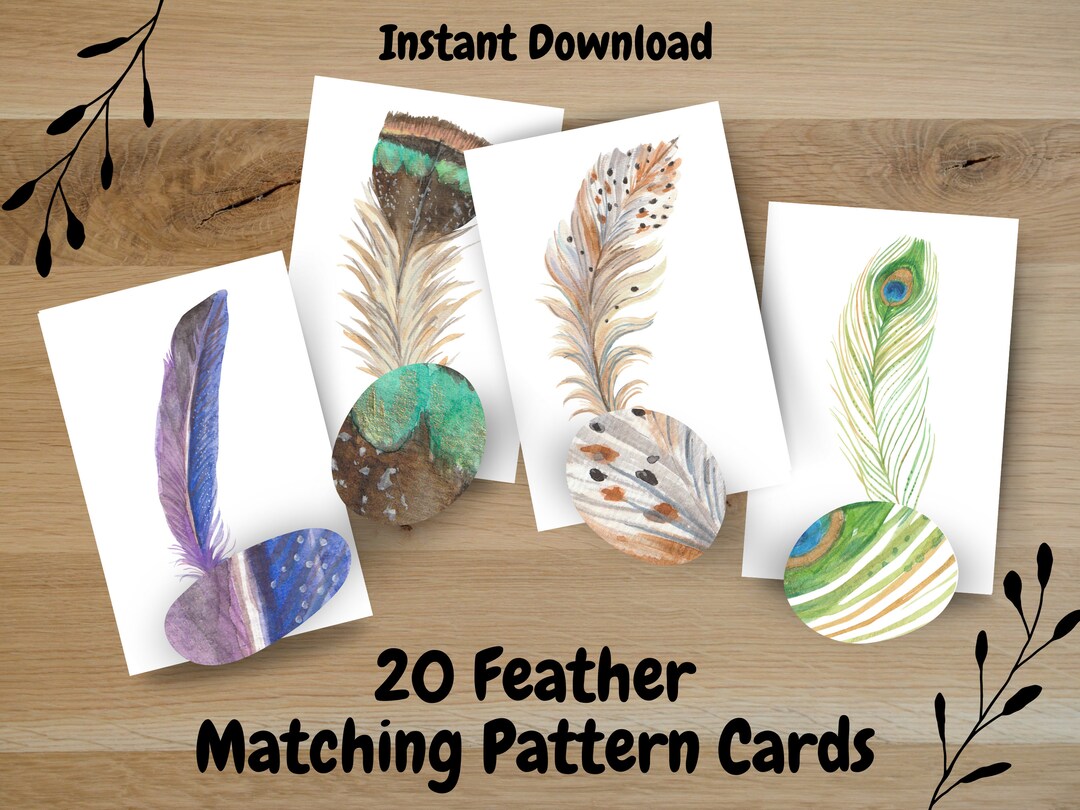 Feather Matching Cards, Toddler Pattern Matching, Montessori Learning ...