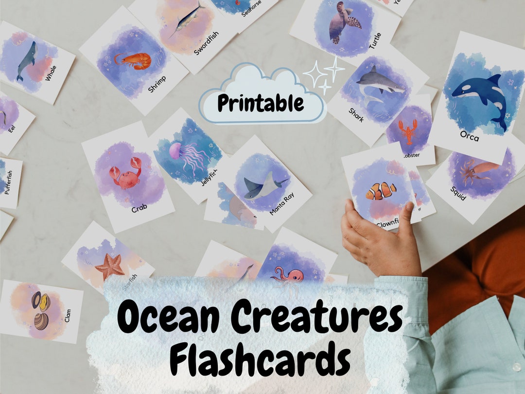 24 Ocean Creatures Flashcards, Toddler Flash Cards Preschool ...