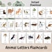 Animal Letters Flashcards, Alphabet Cards, Printable Toddler Flash ...